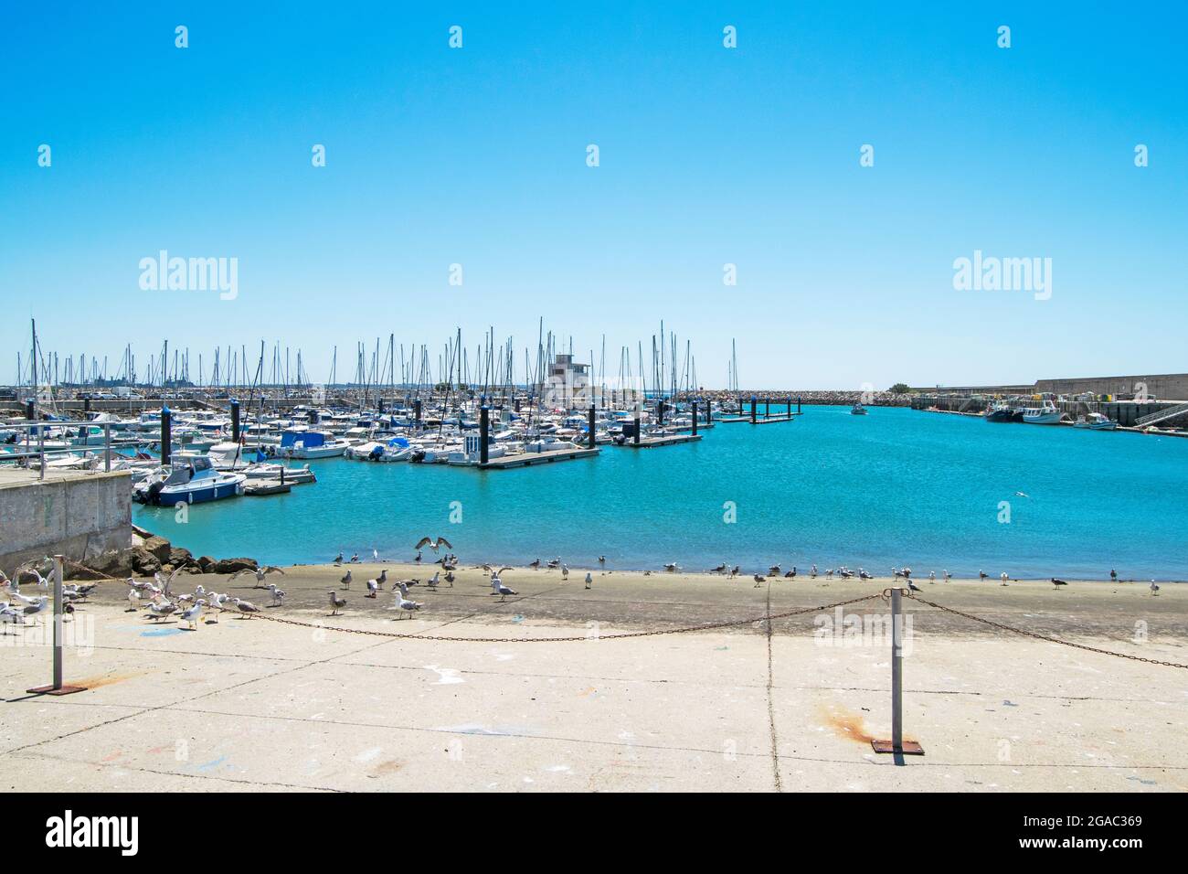 Seagulls in the fishing port of Rota, Cadiz, Andalusia, Spain Stock ...