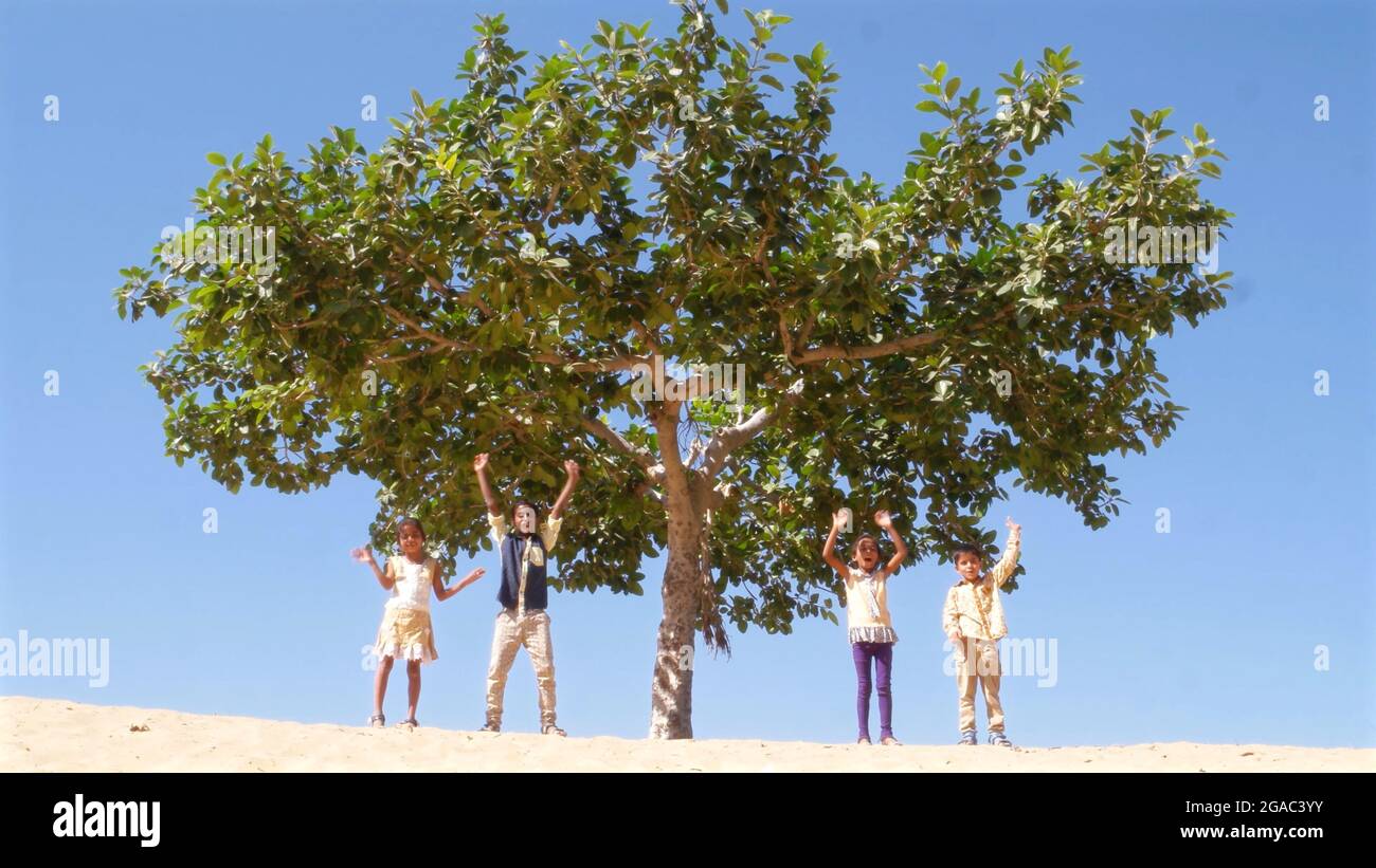 Children with hands up under the tree, India Stock Photo - Alamy
