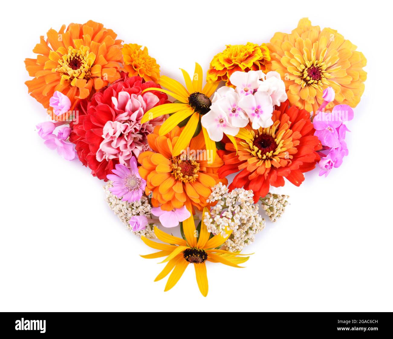 Fresh colorful flowers in shape of heart isolated on white Stock Photo ...