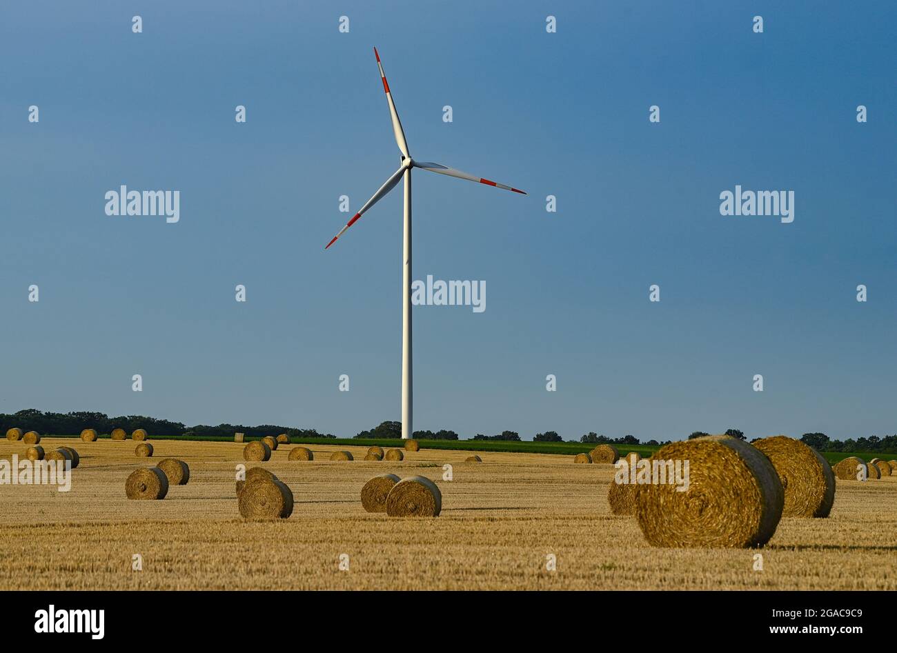 Jacobsdorf, Germany. 28th July, 2021. Wind turbines at the "Odervorland ...