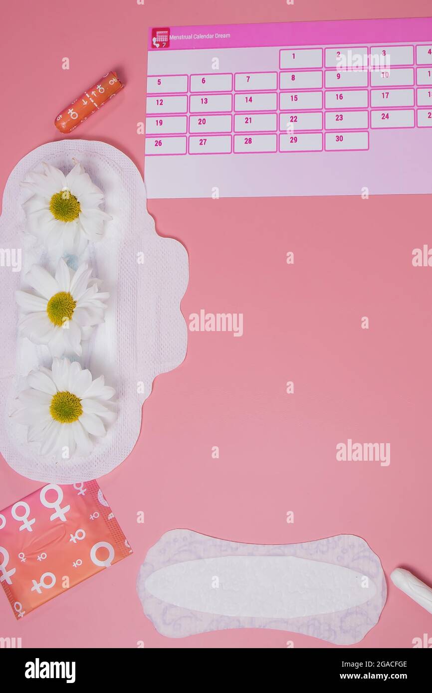 Menstruation calendar with cotton tampons , sanitary pads, white flower ...