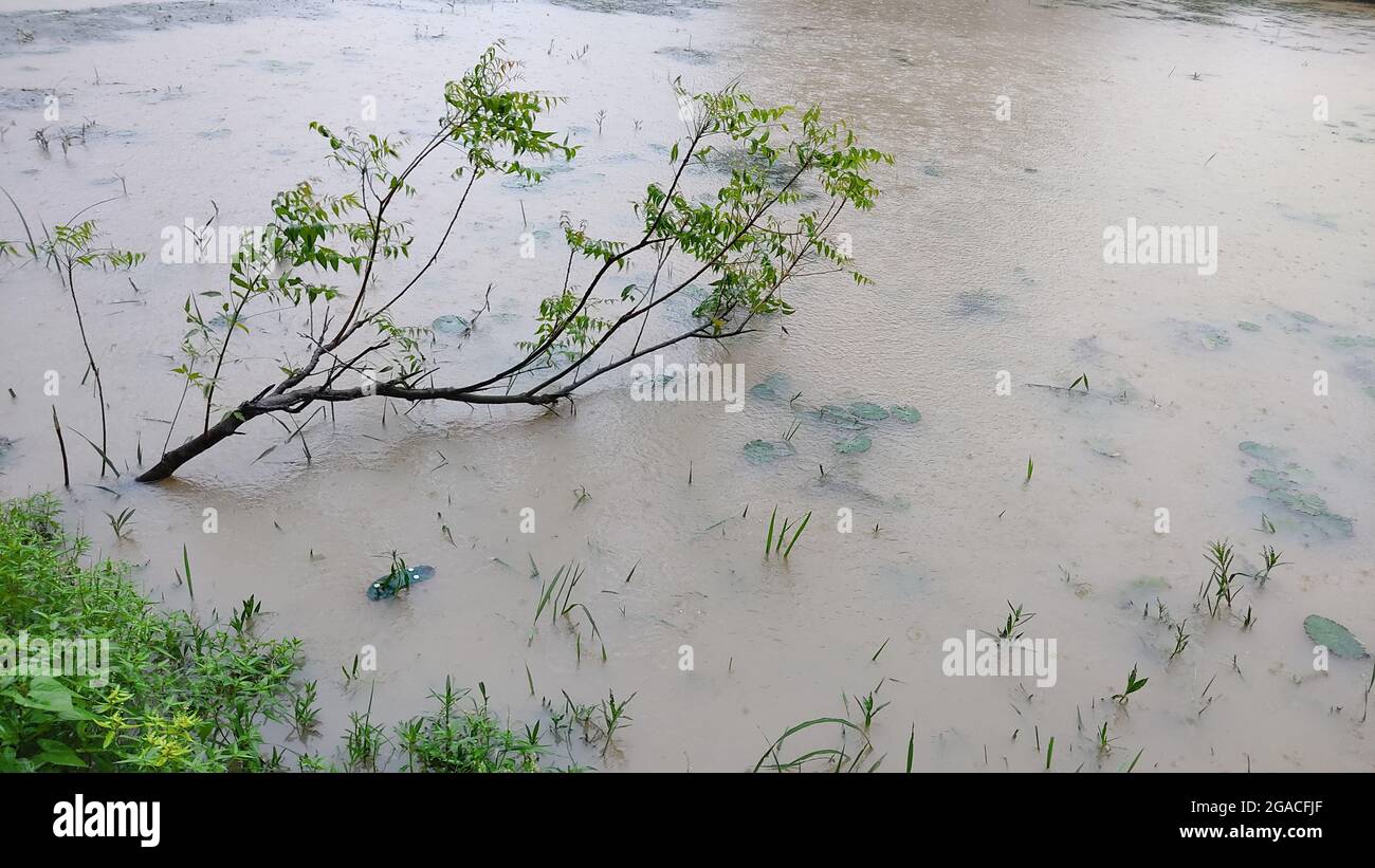 Rain water ponds hi-res stock photography and images - Alamy
