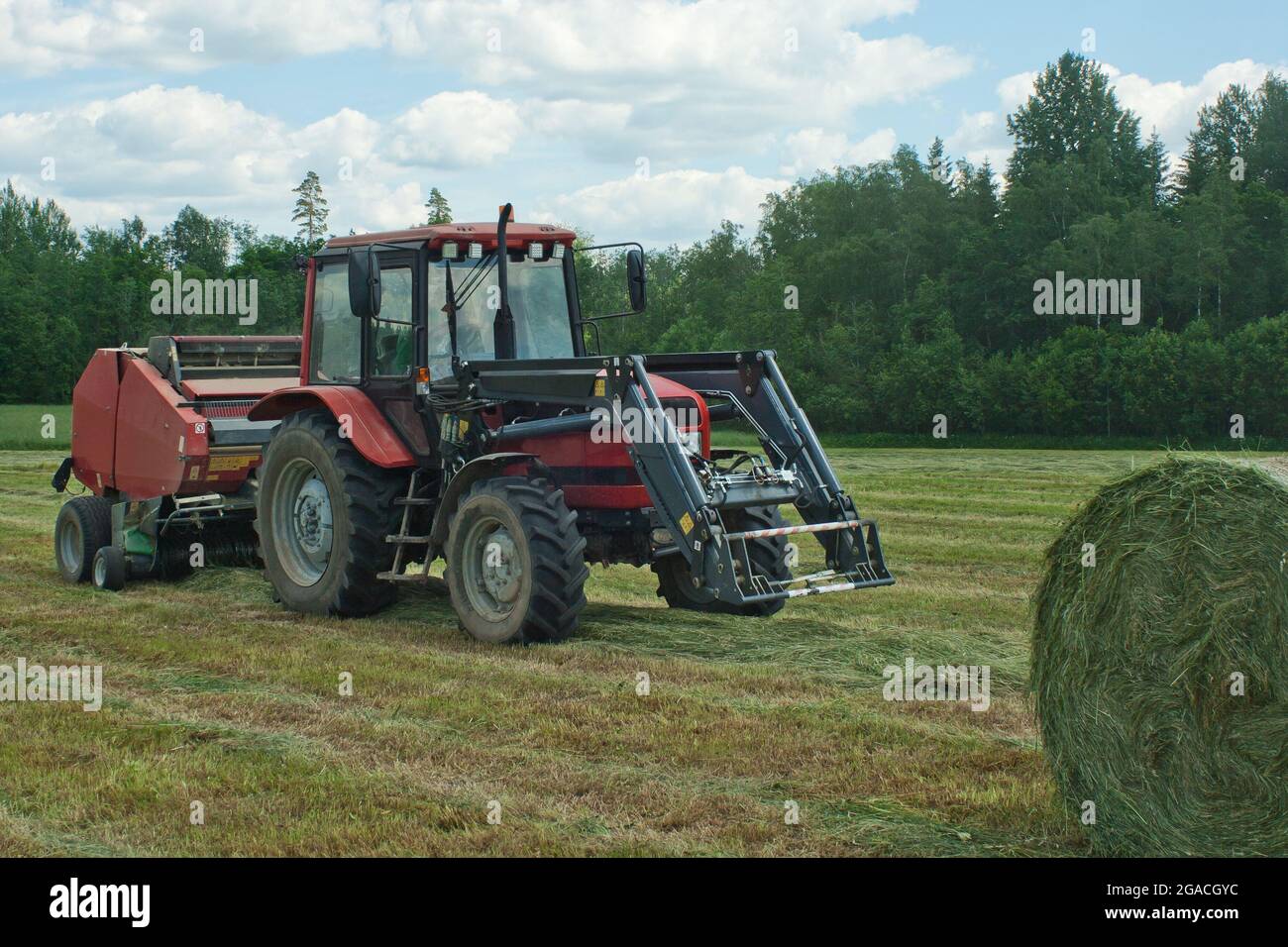 Tractor during hay bales making for livestock during field work on a ...