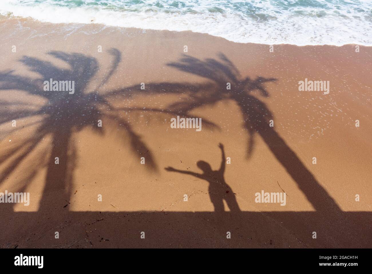 Tropical beach. Pristine tropical beach with shadows from palm trees ...