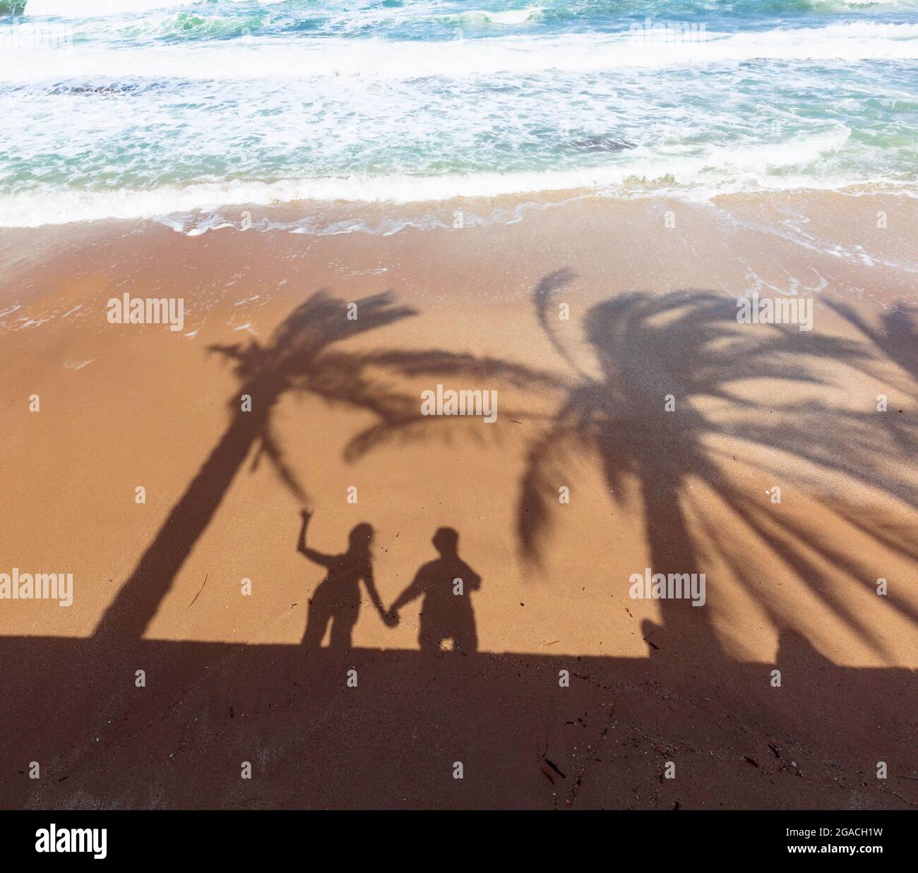 Tropical beach. Pristine tropical beach with shadows from palm trees ...