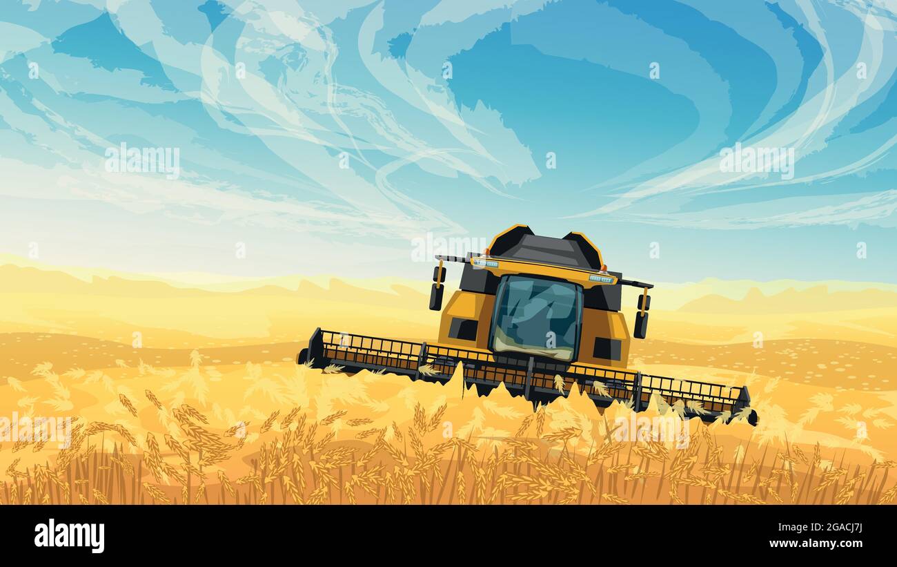 Yellow golden straw on Stock Vector Images - Alamy