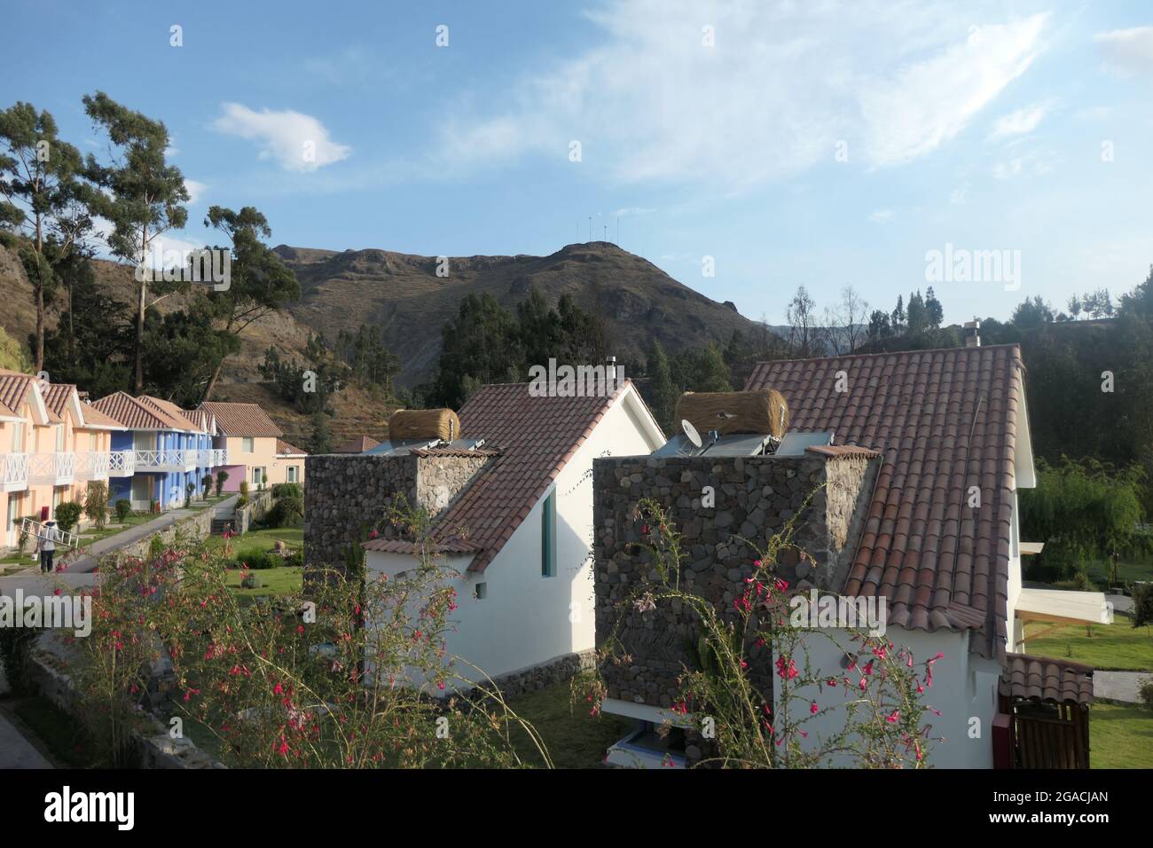 Arequipa Peru landscape white city picturesque City houses house plants ...