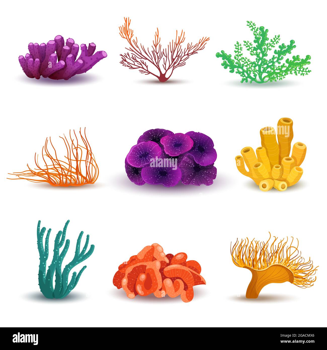 Fan Coral Clip Art