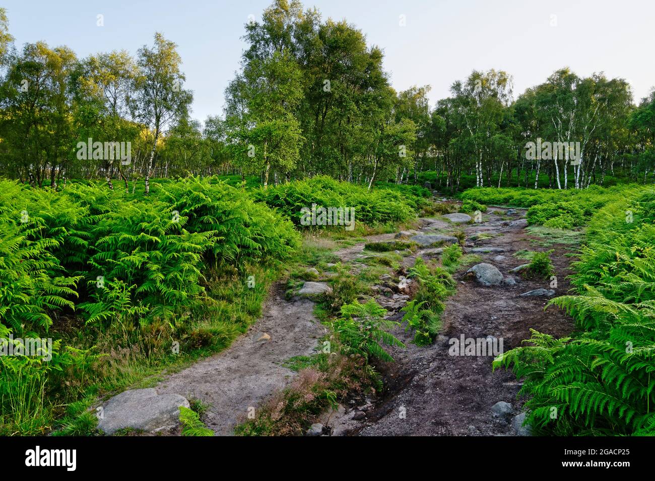 Rock strewn rugged footpath begins to climb up hill to the SIlver ...