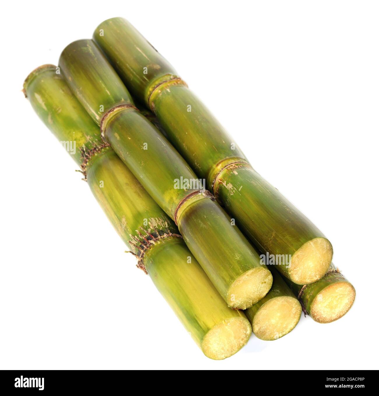 Fresh sugar cane over white background Stock Photo - Alamy