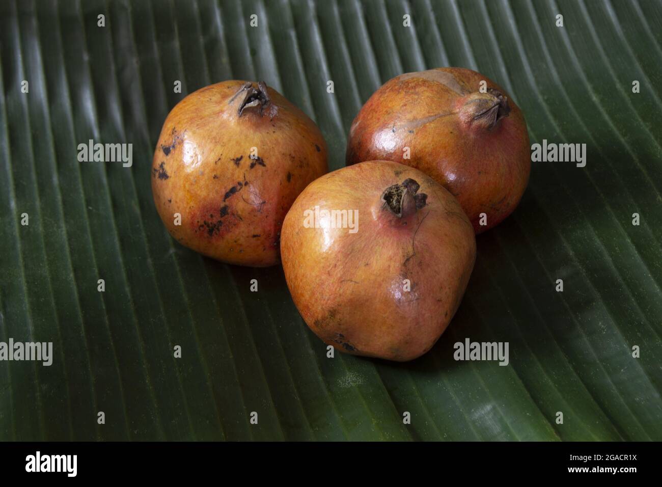 Closeup of three pomegranates placed together in a triangular shape on ...