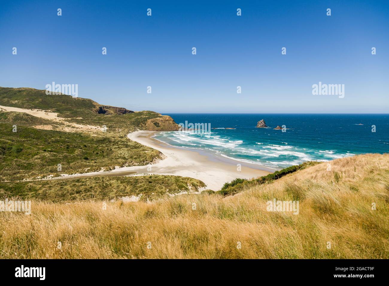 Beautiful scenery of New Zealand Sandfly Bay Stock Photo - Alamy