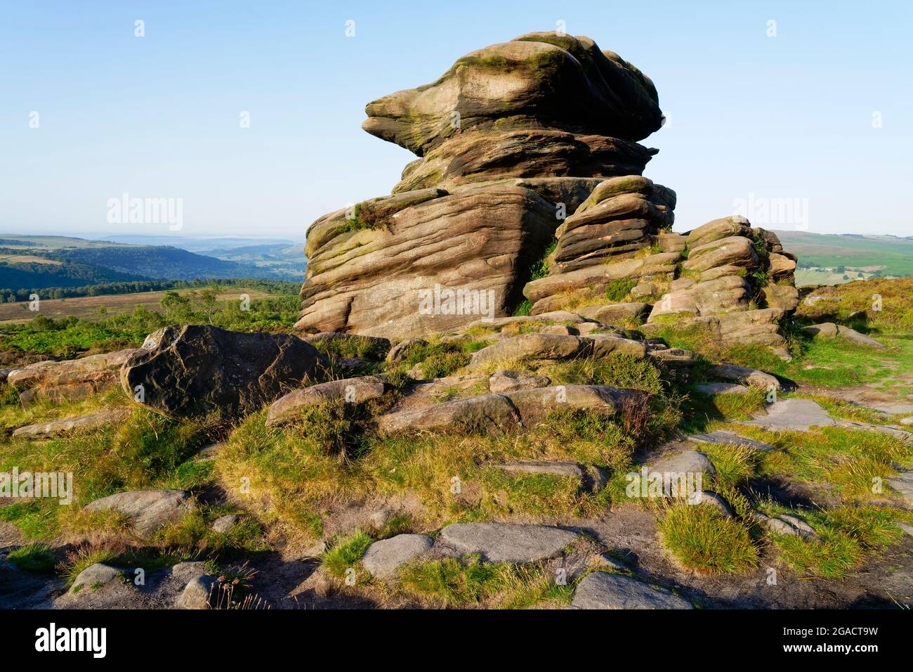 Gritstone sandstone rock fern hi-res stock photography and images - Alamy