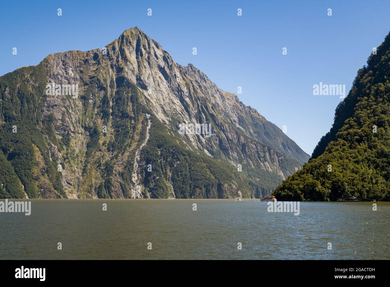 Beautiful scenery of New Zealand Akaroa Stock Photo - Alamy