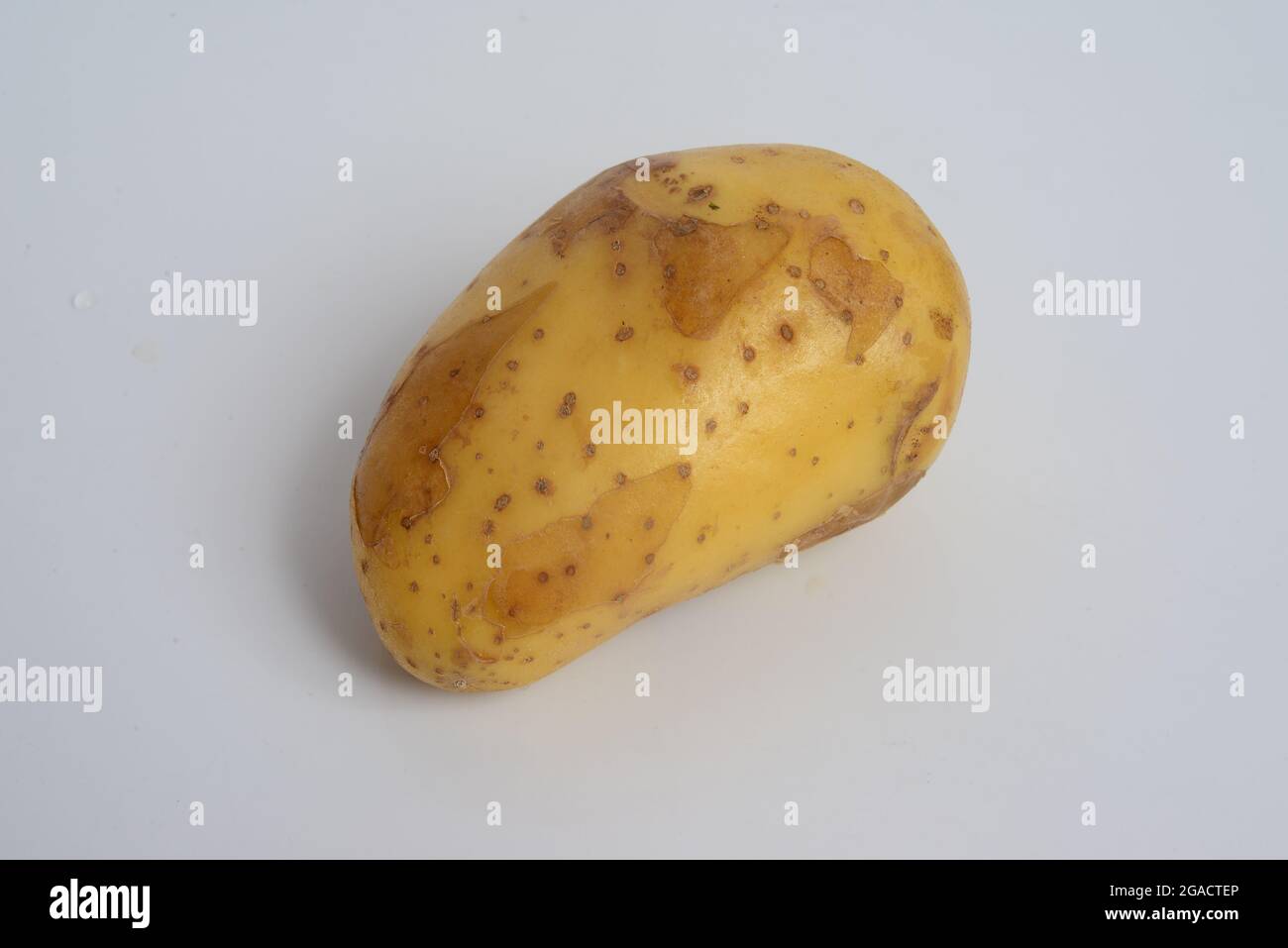 The potato is a root vegetable native to the Americas, a starchy tuber ...