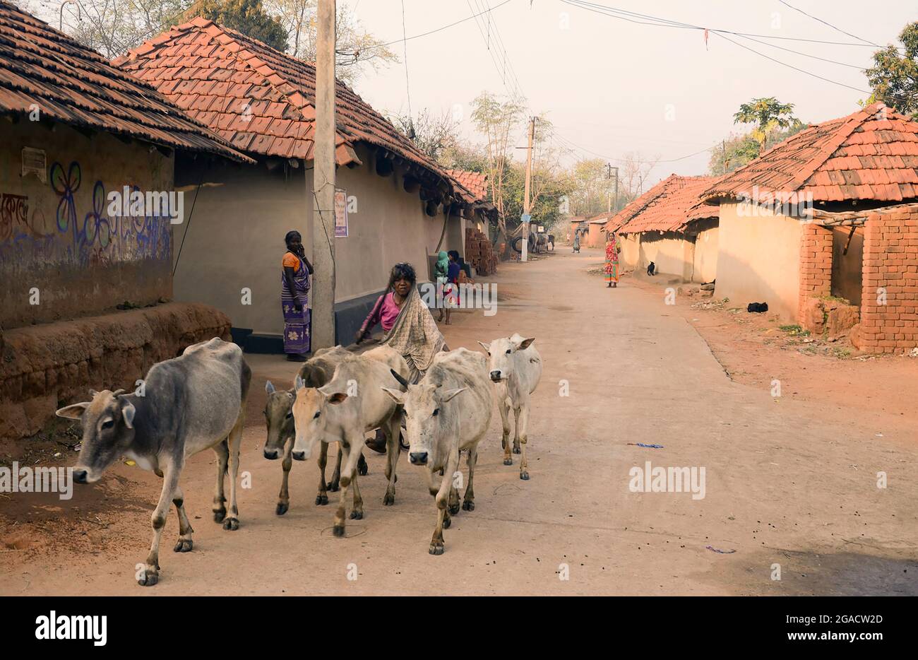 Rural landscape of purulia hi-res stock photography and images - Alamy