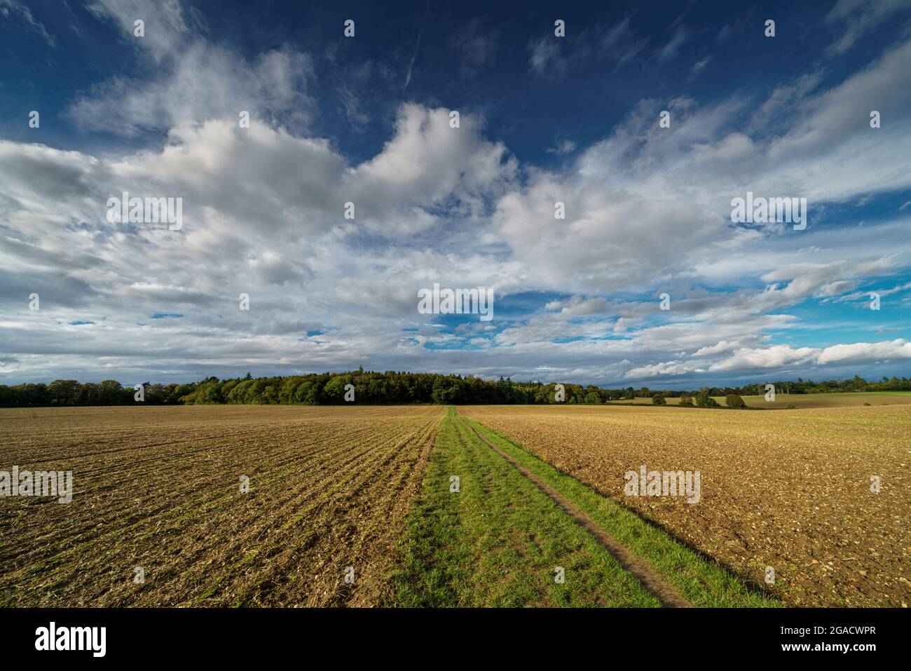 Farm field in the Chiltern Hills Oxfordshire England UK Stock Photo - Alamy