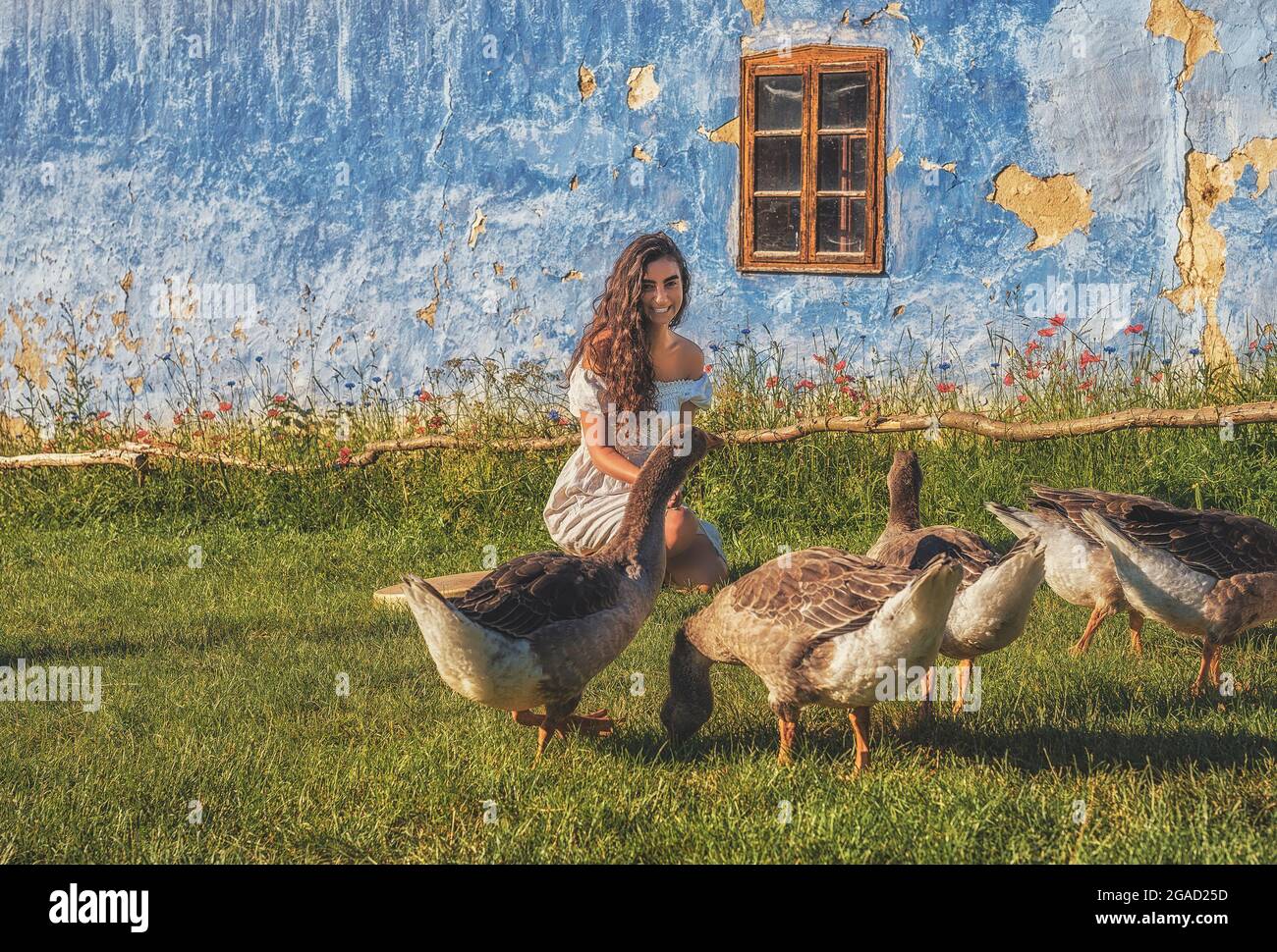 Beautiful exotic woman with a goose on the farm Stock Photo - Alamy