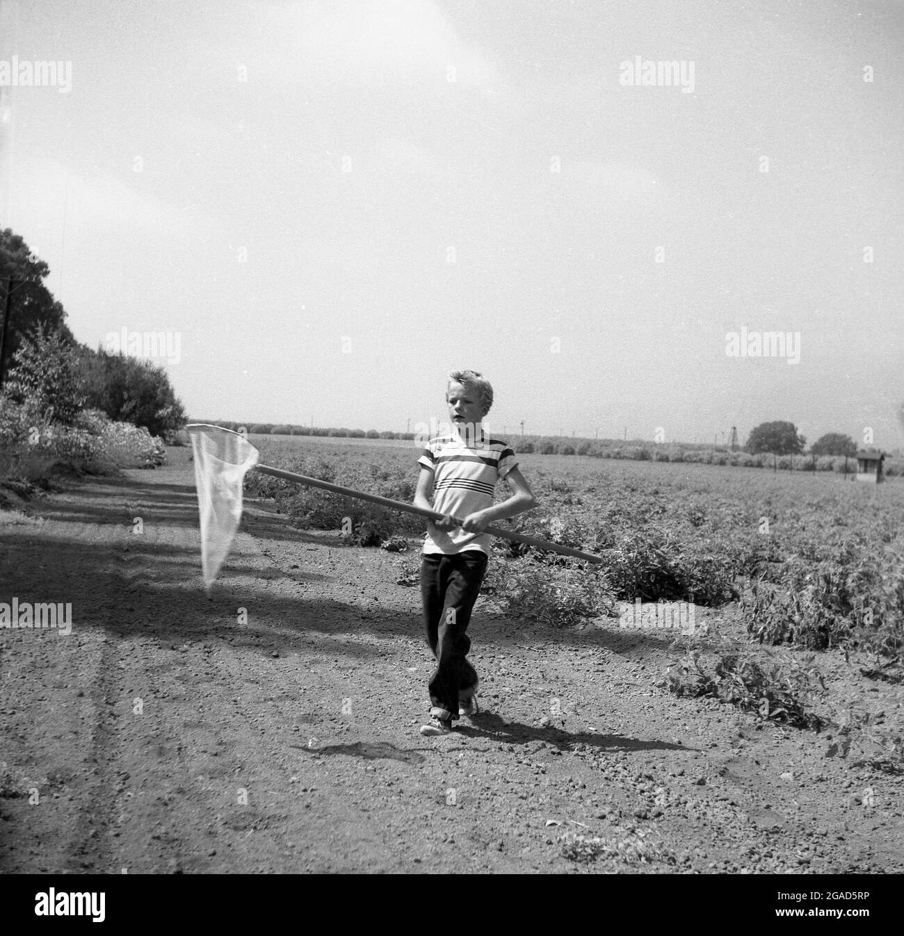 1960s, historical, summertime and outside on a gravel path in the ...