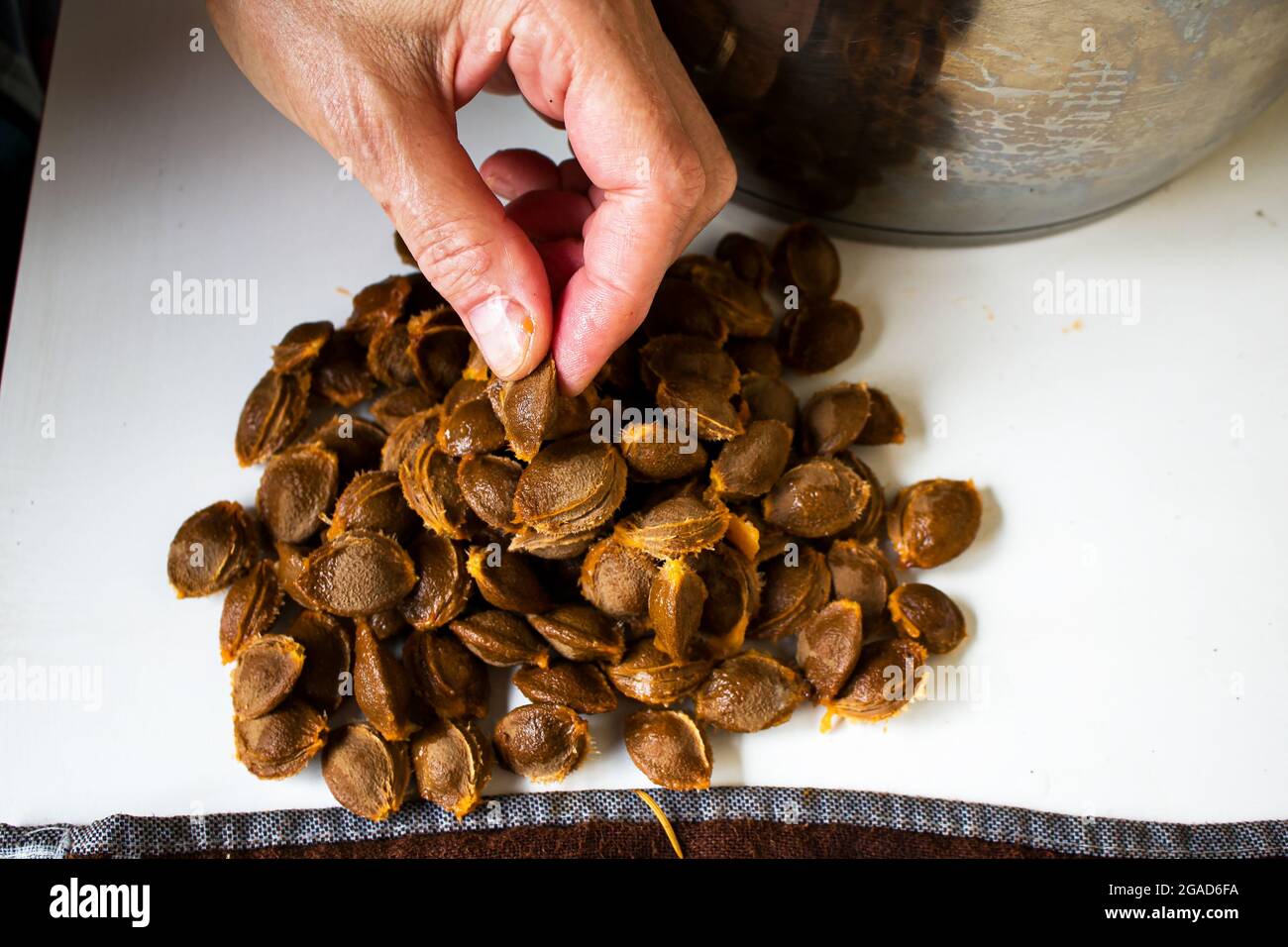 The process of producing apricot jam at home. Women's hands peel the ...