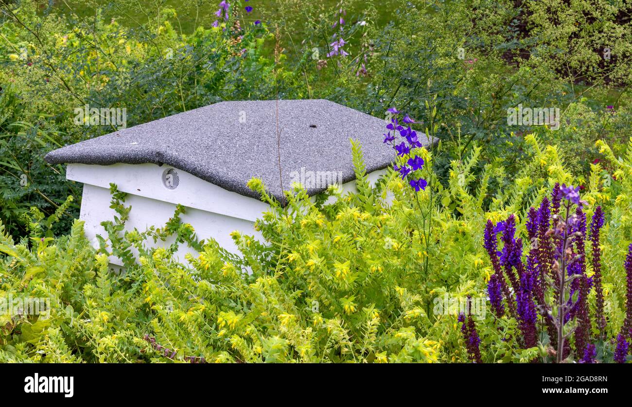 Beehive and floral hi-res stock photography and images - Alamy