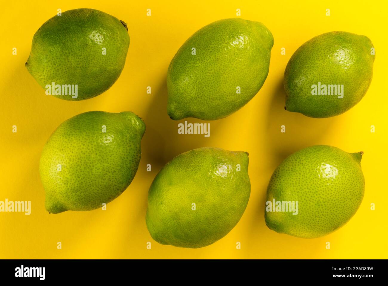 Green lemons of Siracusa, Sicilia, Italy, femminello variety, six ...
