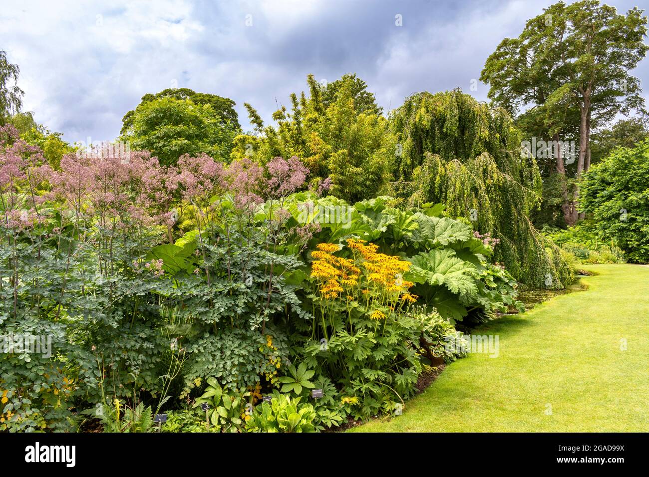 CAMBRIDGE ENGLAND UNIVERSITY BOTANIC GARDENS TREES PLANTS AND FLOWERS ...
