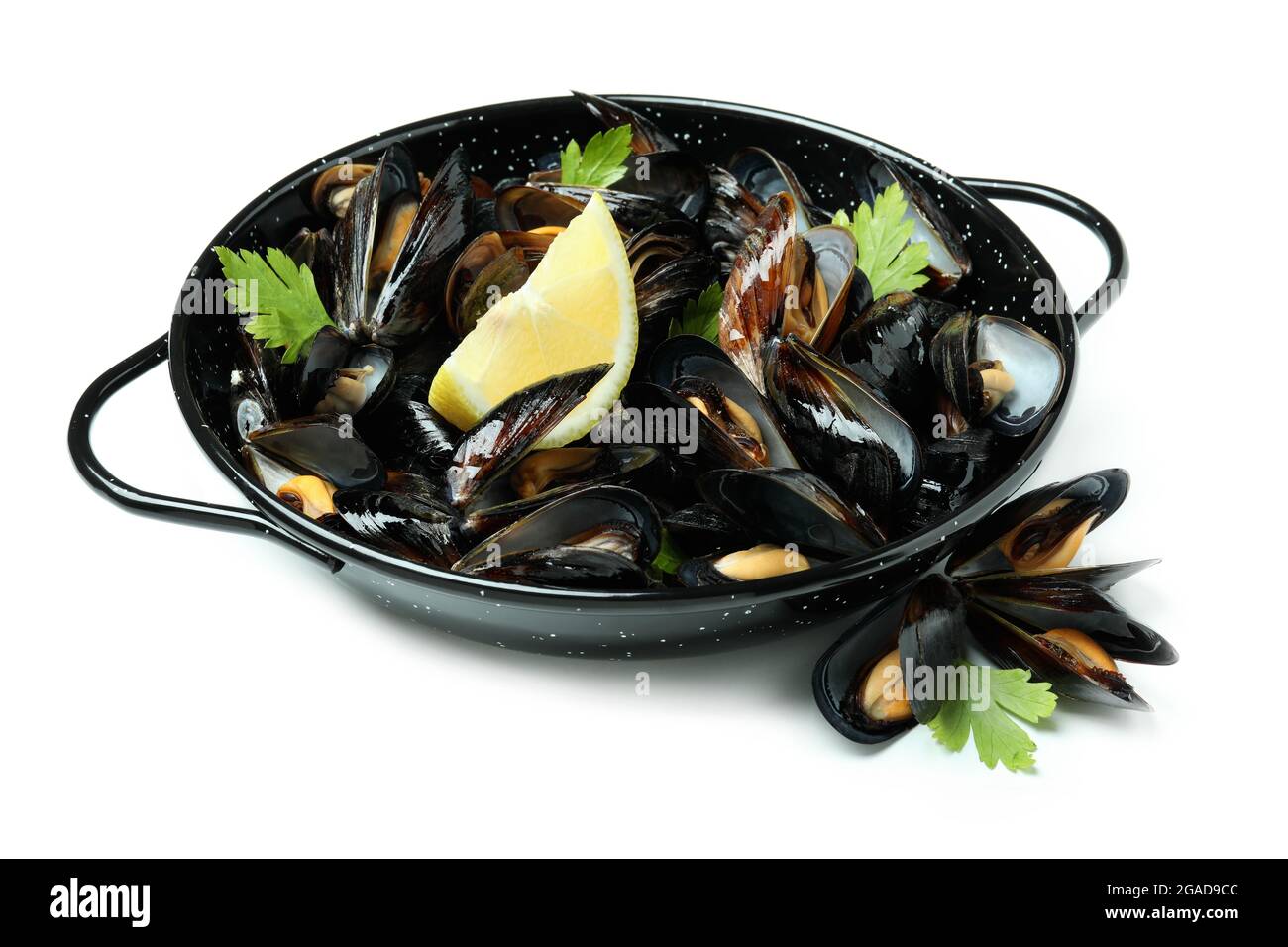 Pan with fresh mussels isolated on white background Stock Photo - Alamy