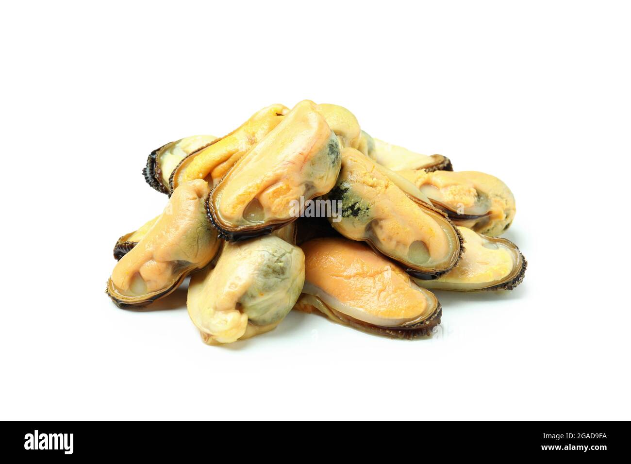 Fresh mussels seafood isolated on white background Stock Photo - Alamy