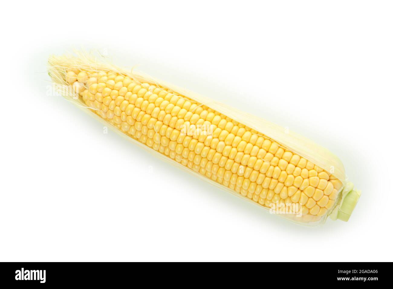 Fresh raw corn isolated on white background Stock Photo - Alamy