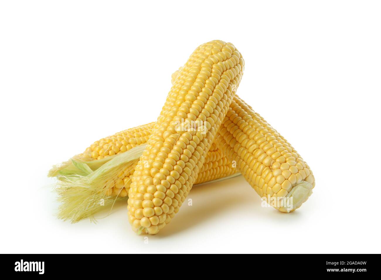Fresh raw corn isolated on white background Stock Photo - Alamy
