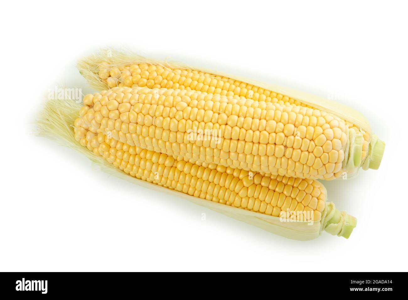 Fresh raw corn isolated on white background Stock Photo - Alamy