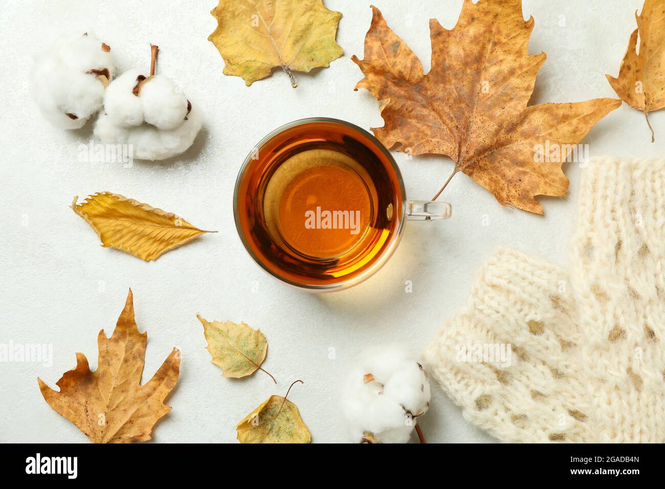 Cozy autumn concept background with tea drink Stock Photo - Alamy