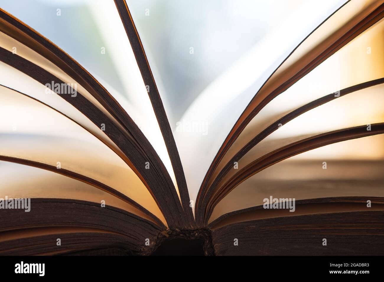 Pages of an open old book on the background of the morning window ...