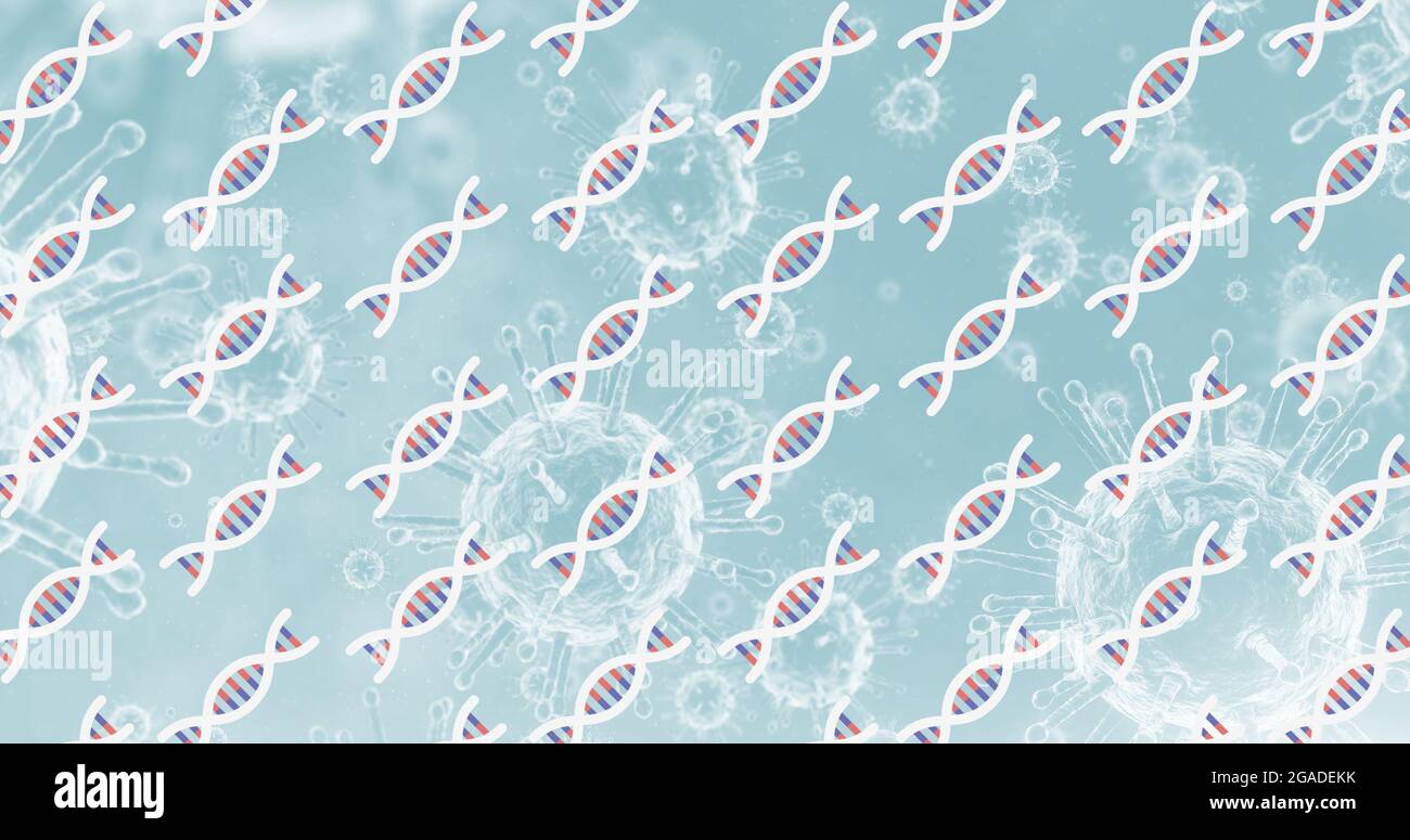 Composition of dna strands over covid 19 virus cells on green ...