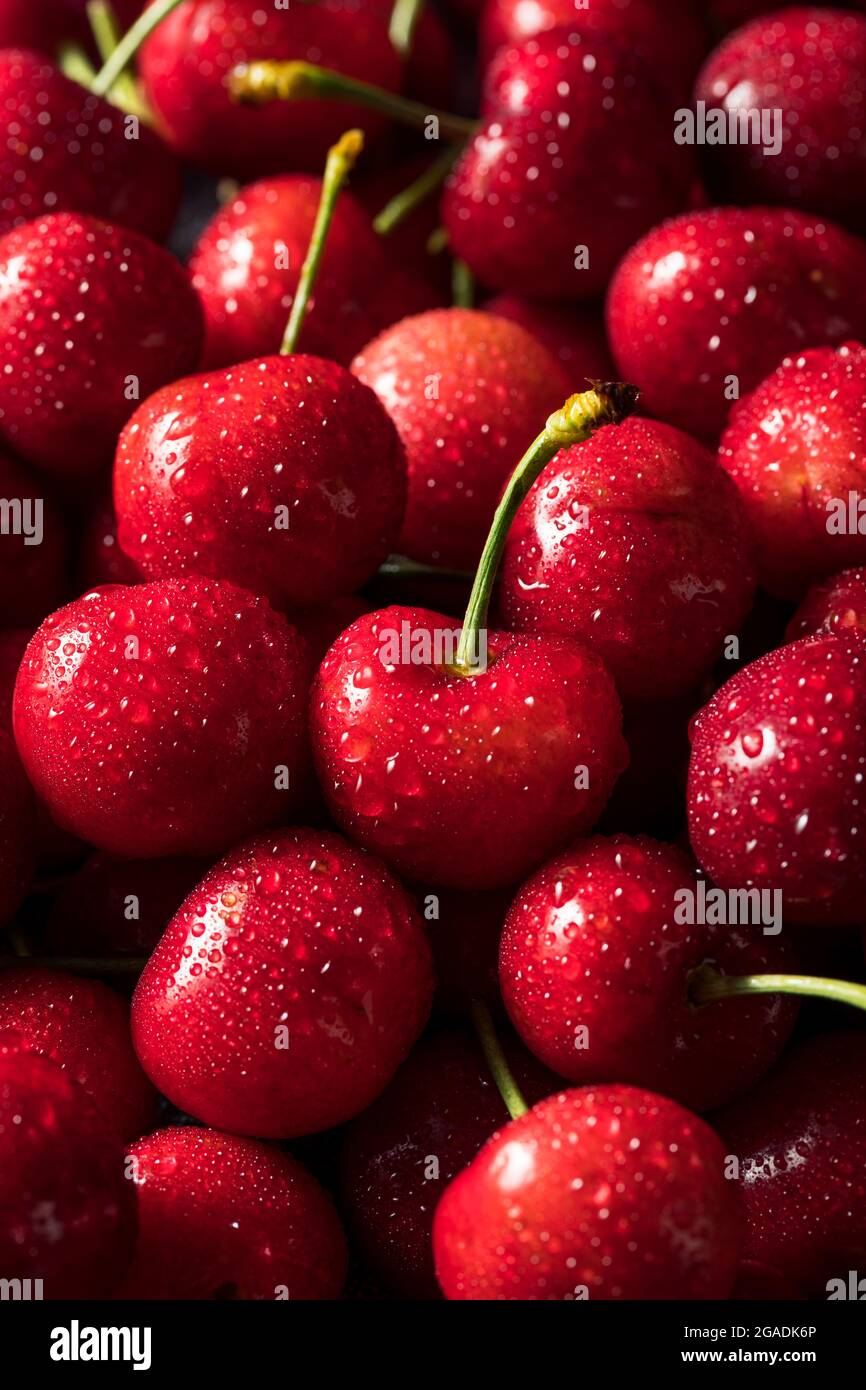 Healthy Organic Red Cherries in a Bowl to Eat Stock Photo - Alamy