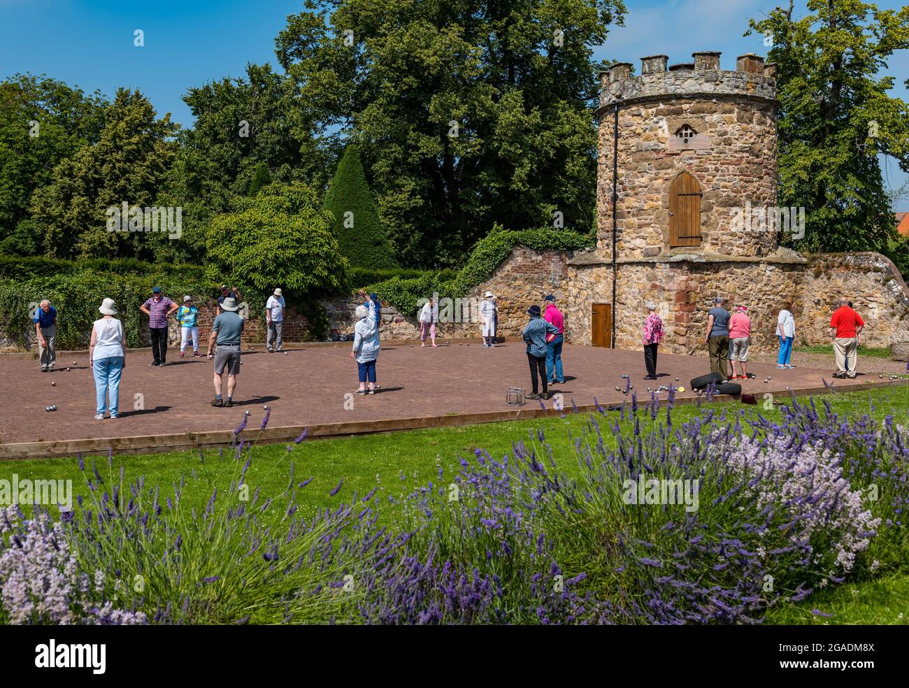 Senior citizens, older people or pensioners playing petanque or boules ...