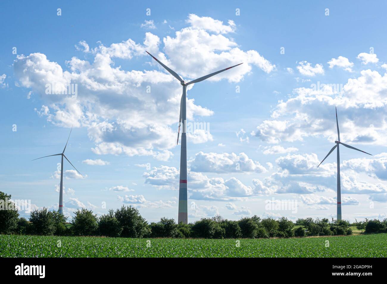 Large agricultural field with turning wind turbines Stock Photo - Alamy