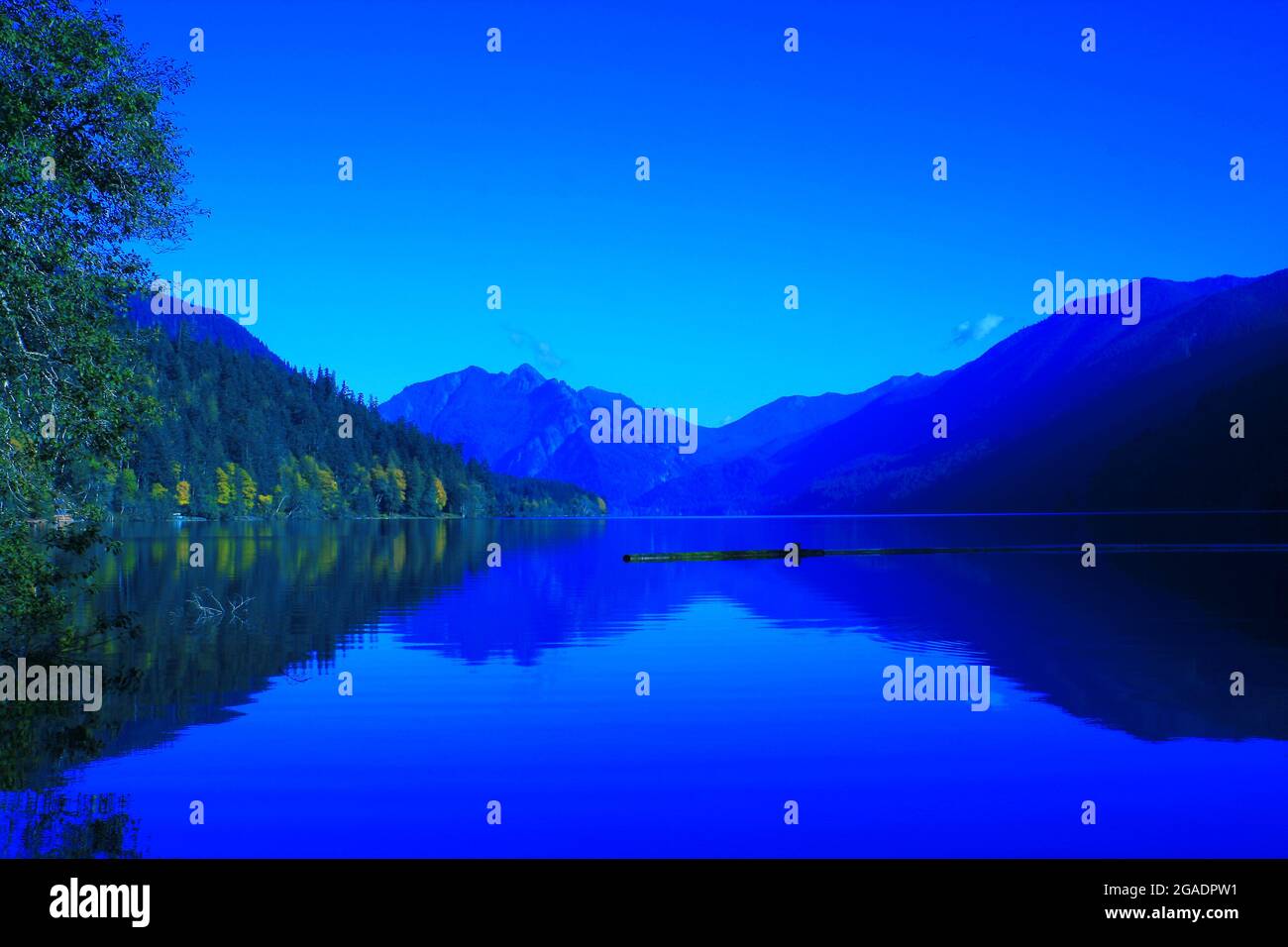 a exterior picture of an Pacific Northwest forest lake Stock Photo - Alamy