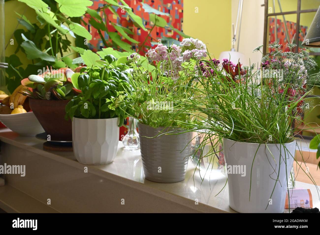 House Interior Shots Stock Photo - Alamy