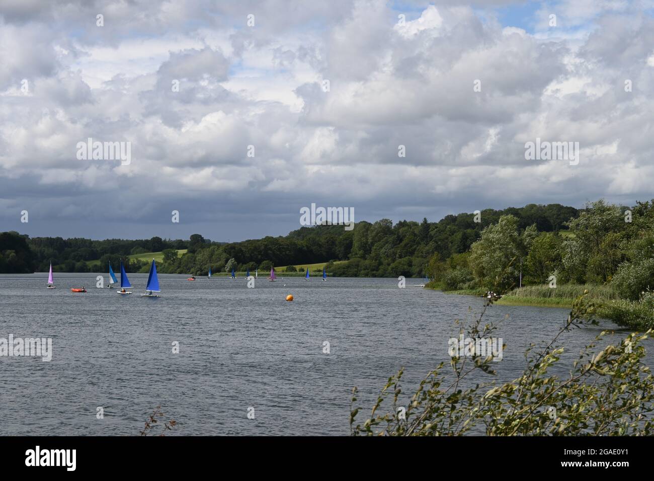 Watersports at Ardingly Reservoir, West Sussex, UK Stock Photo - Alamy