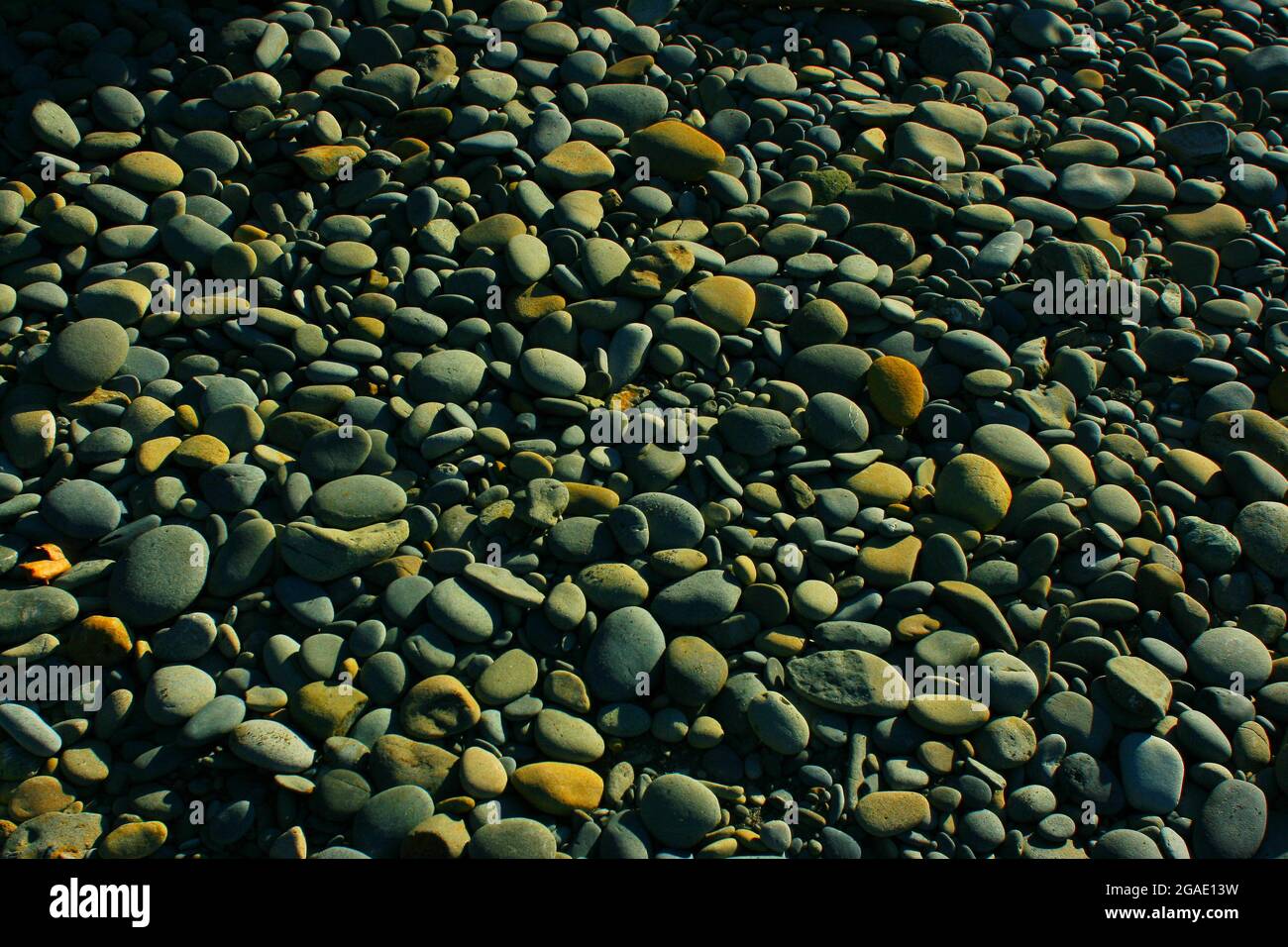 Waterpreserve hi-res stock photography and images - Alamy