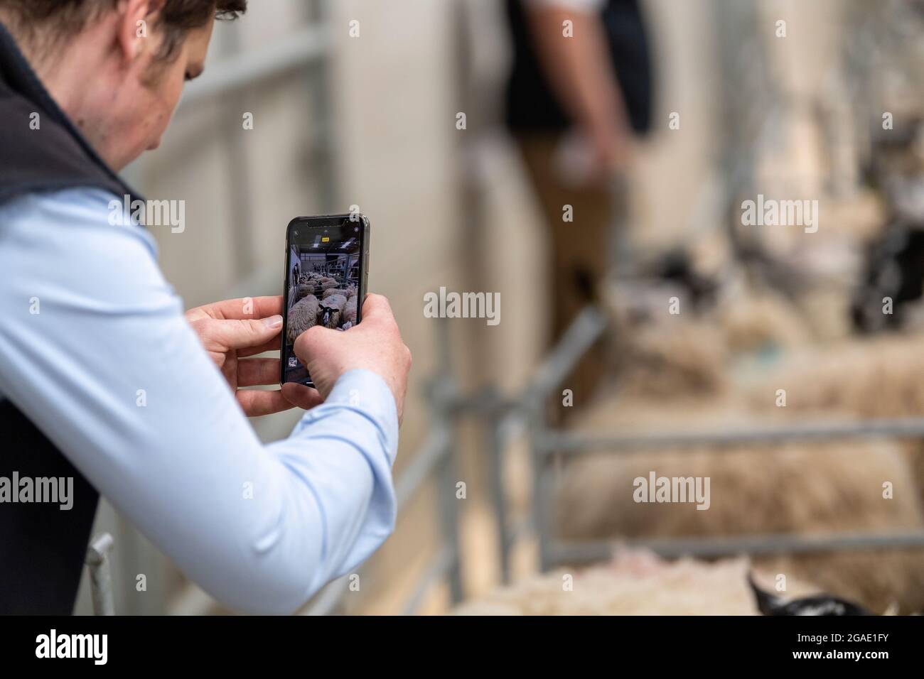 Man filming show on cell hi-res stock photography and images - Alamy