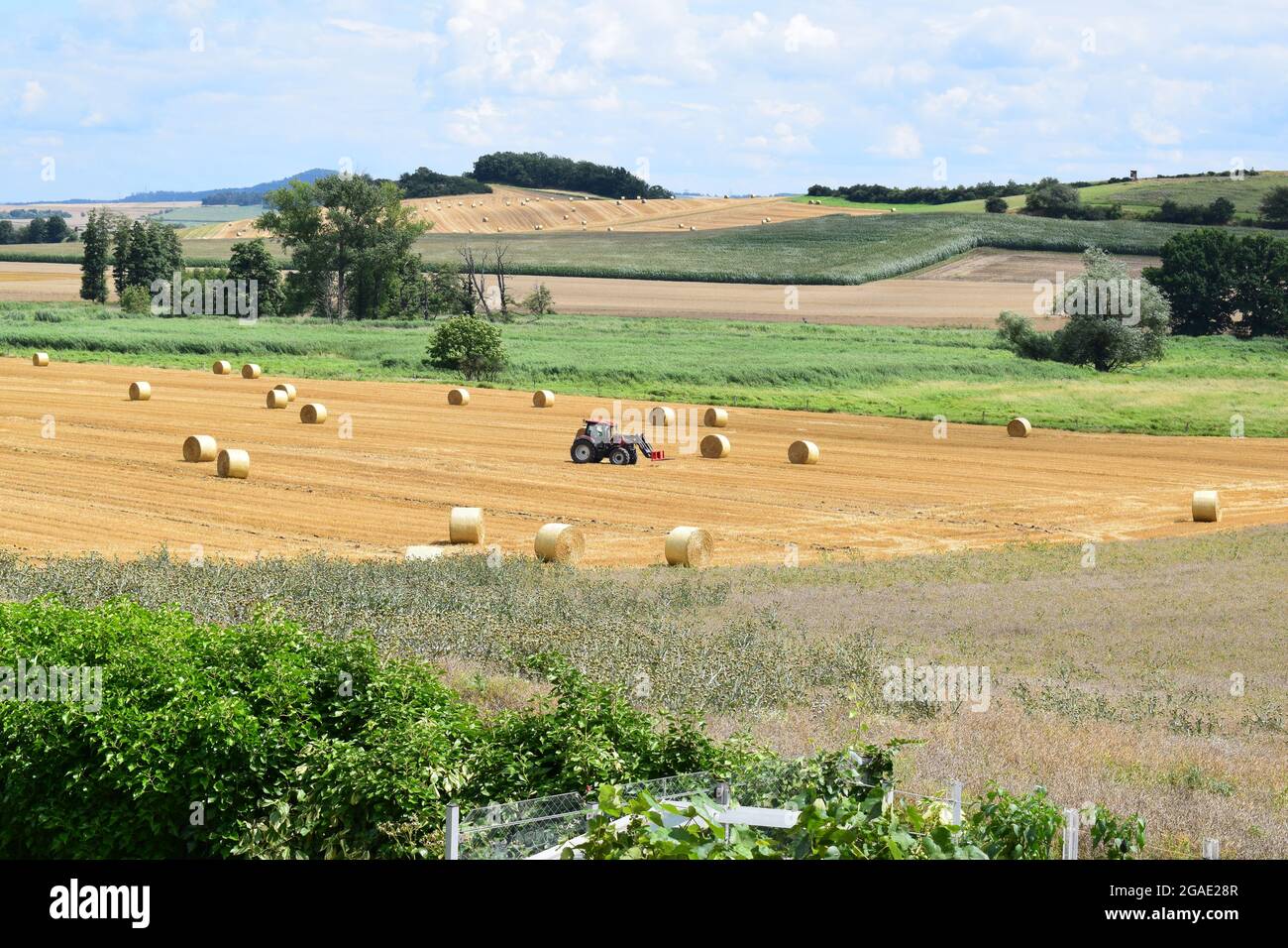 tractor picking up straw bales Stock Photo - Alamy