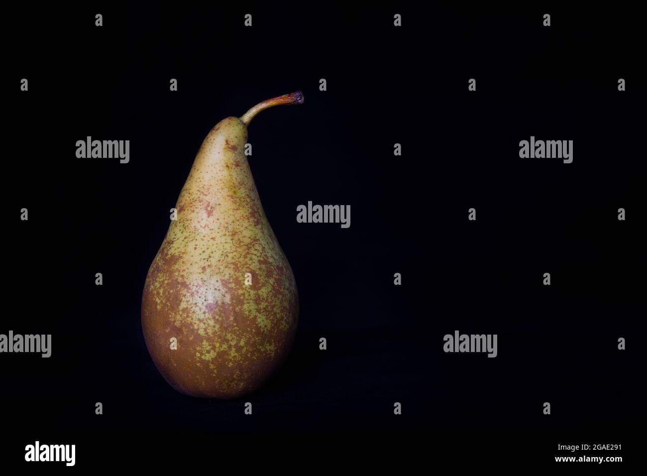 Conference pear on black background Stock Photo - Alamy