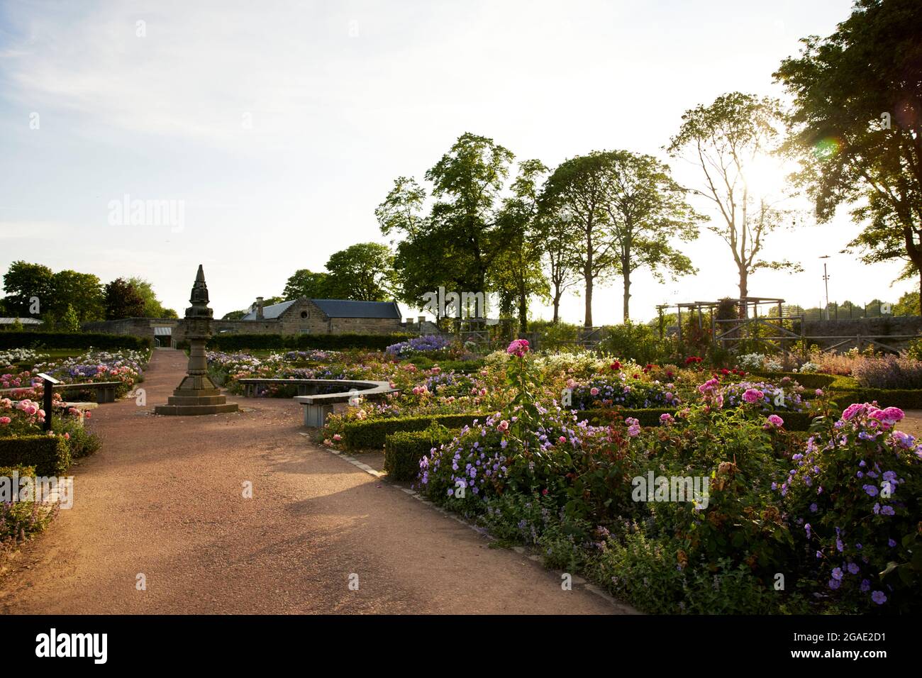 Saughton Park Gardens, City of Edinburgh, Scotland. Summer sunset light ...
