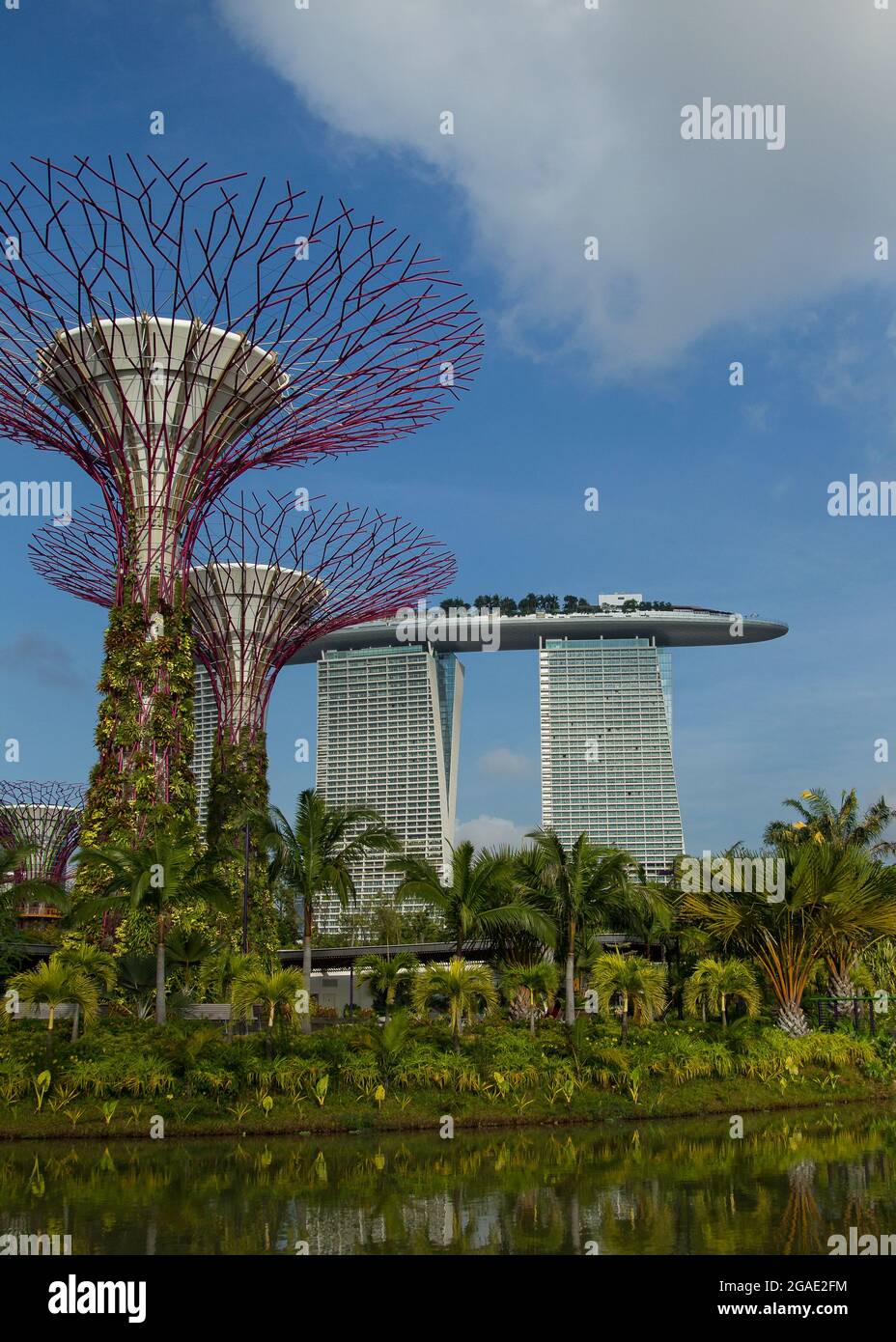 Singapore Super Trees Stock Photo - Alamy