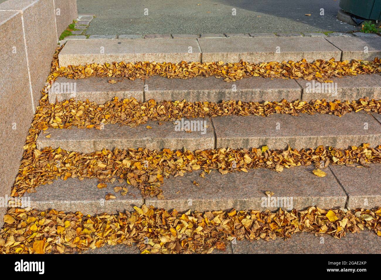 Autumn Stairs Covered With Yellow Leaves Fall Foliage Norway Stock ...