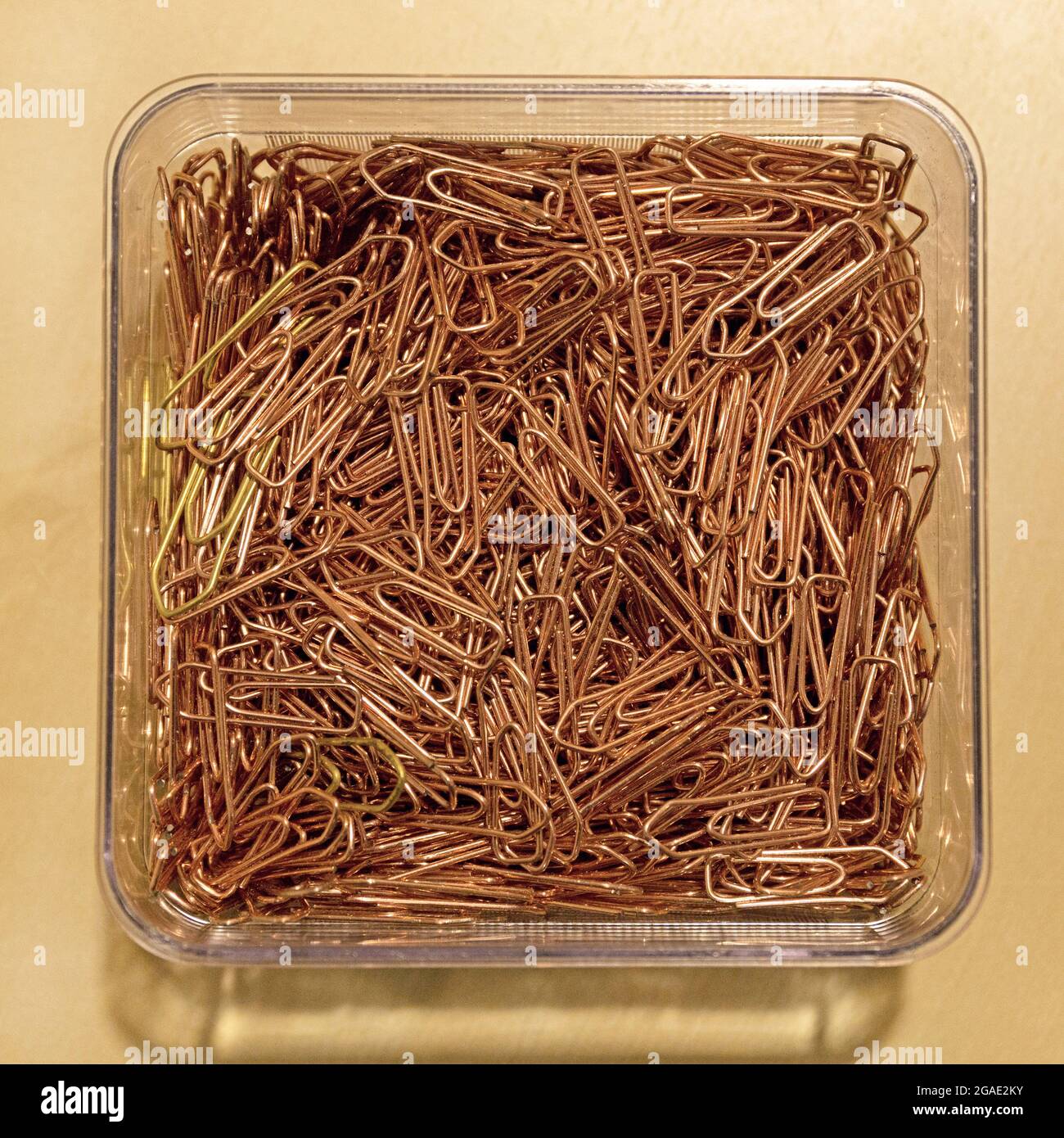 Bunch of Paper Clips in Box at Desk Stock Photo - Alamy