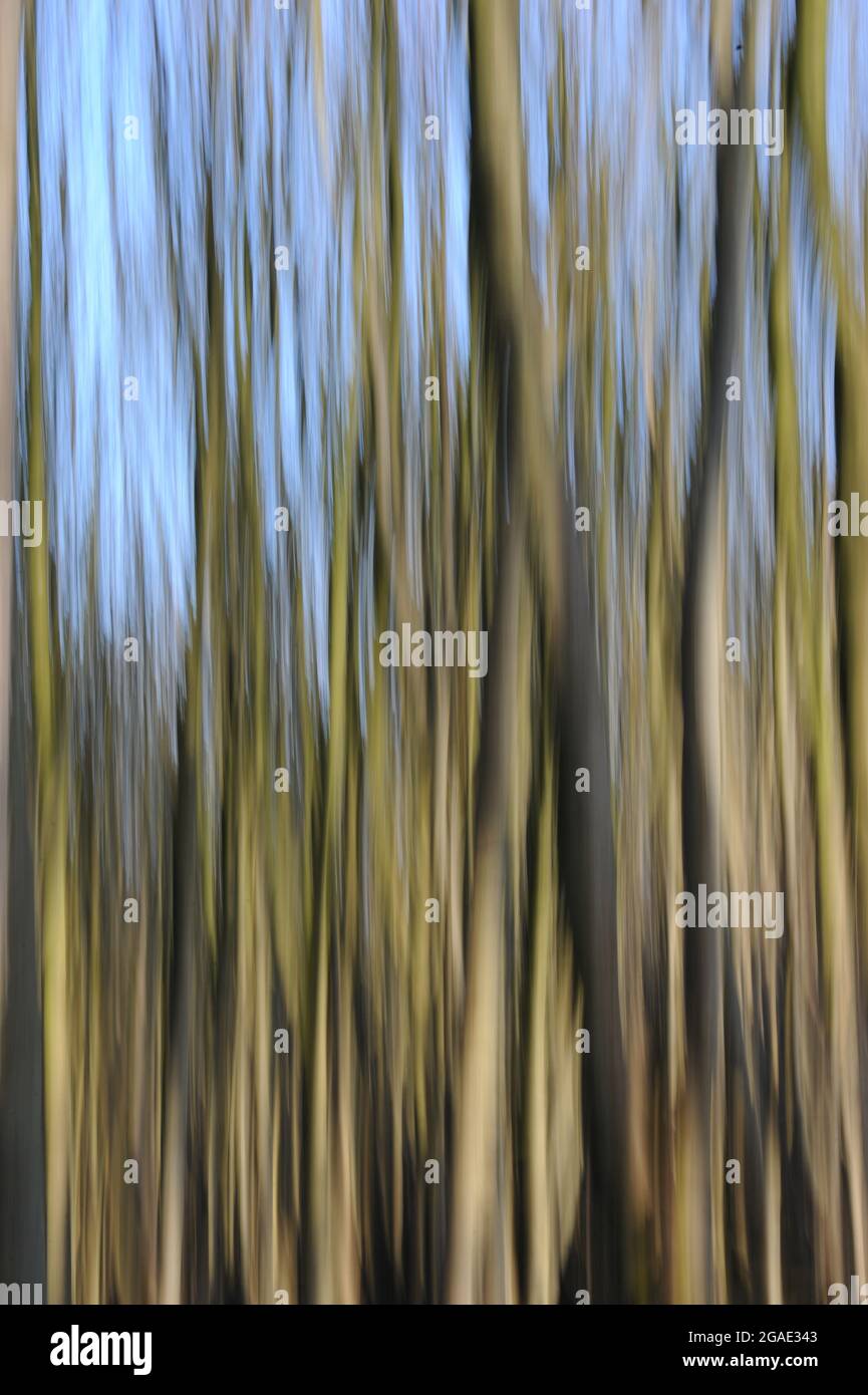 Movement of corn stems hi-res stock photography and images - Alamy